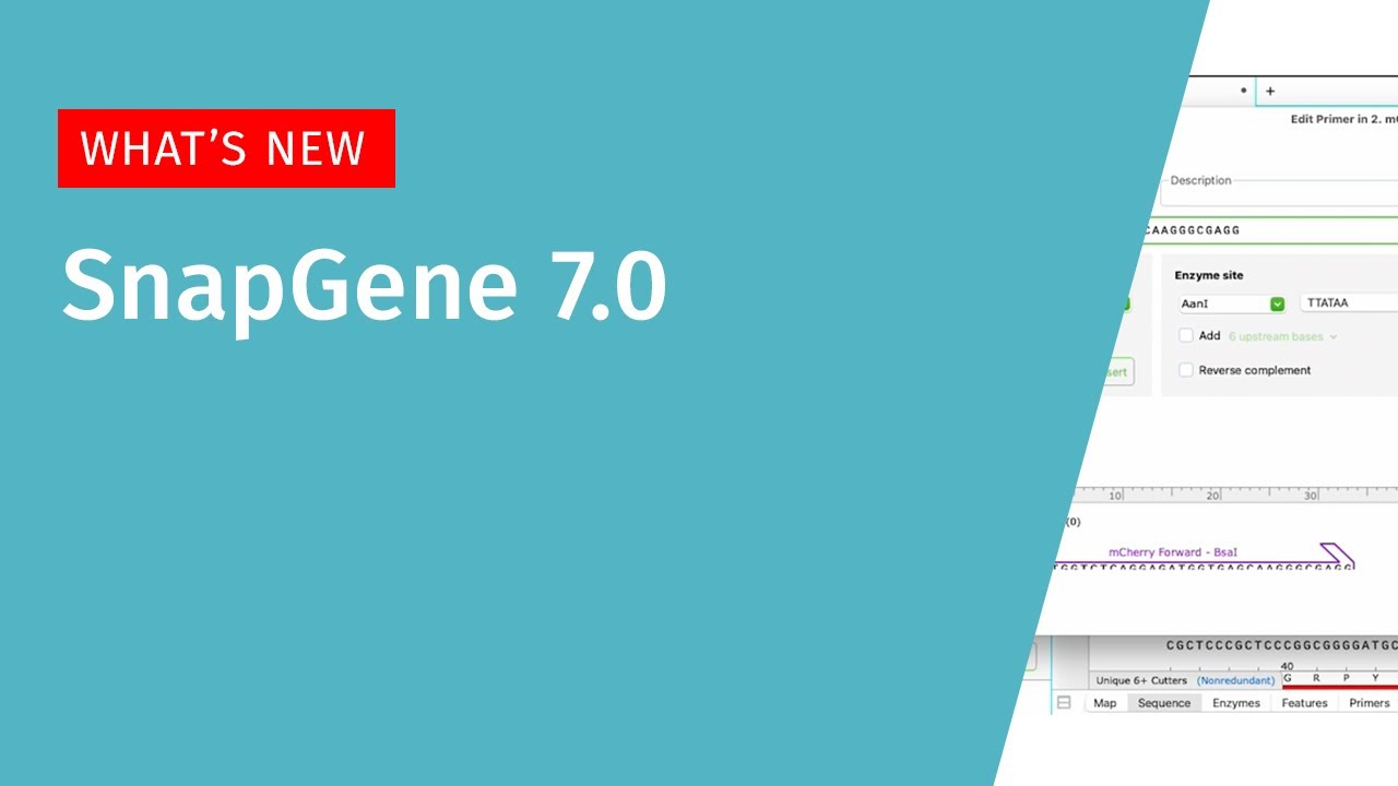 What's New in SnapGene 7 0 - YouTube