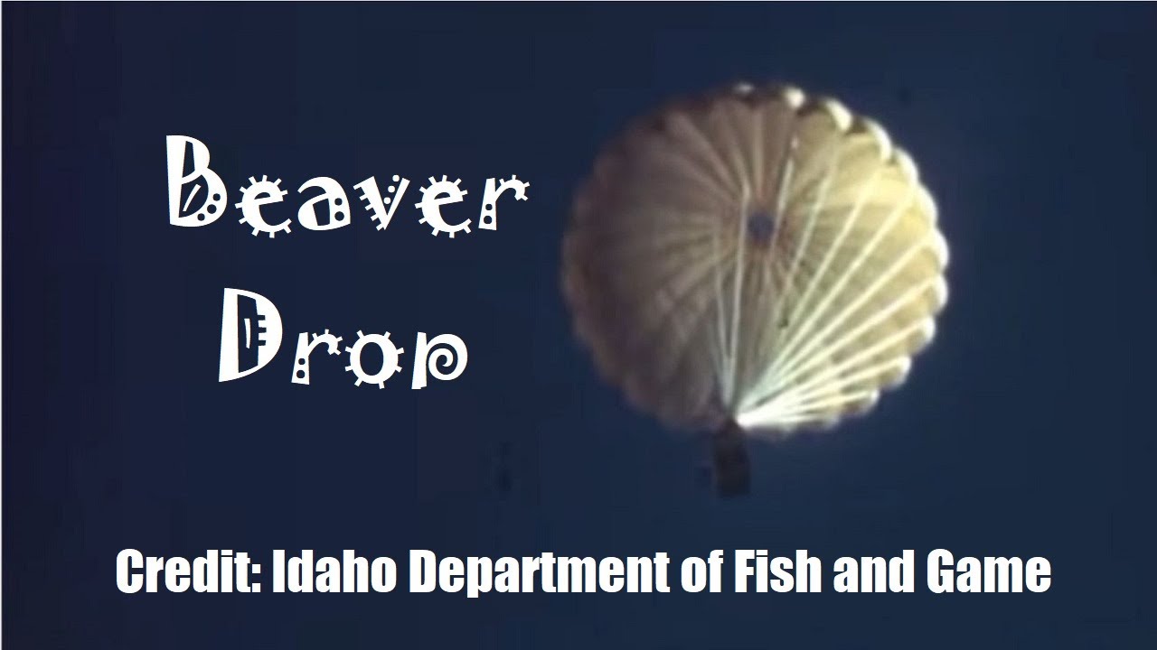 Beaver Drop | Credits: Idaho Department of Fish and Game | A good use ...