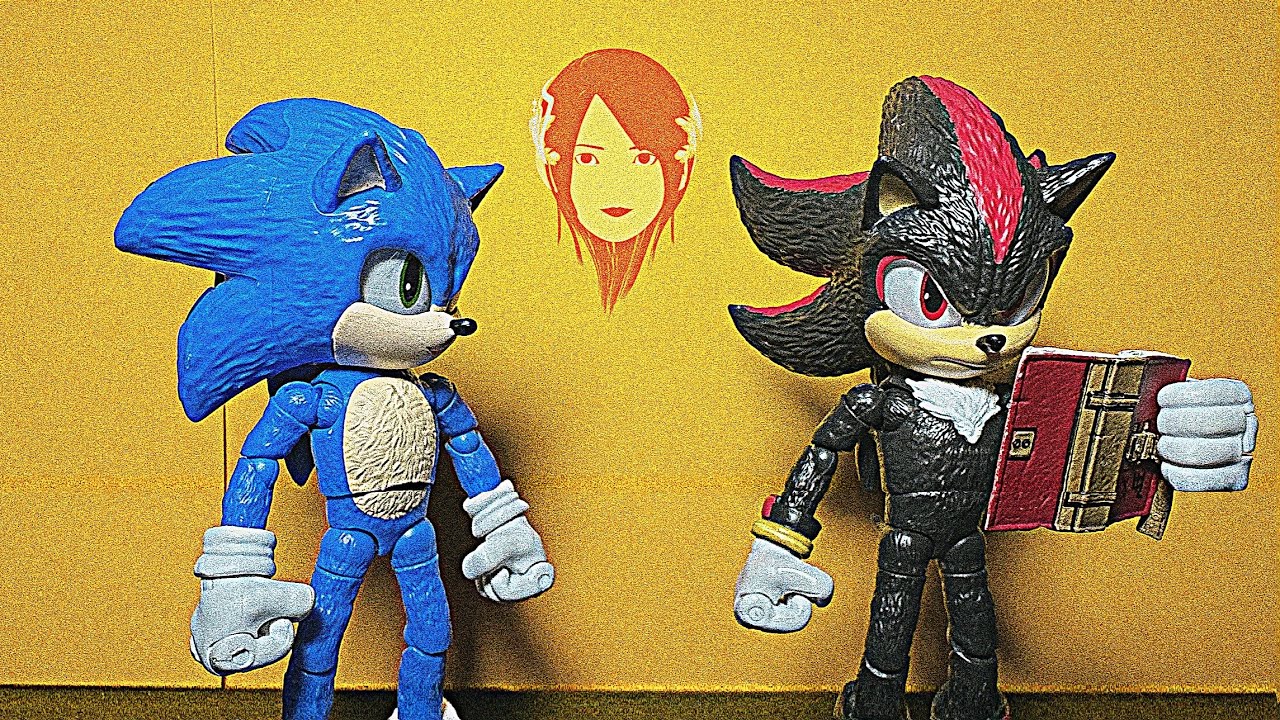 (HOW’S ELISE?) Sonic X Shadow Twitter Takeover Stop Motion - YouTube