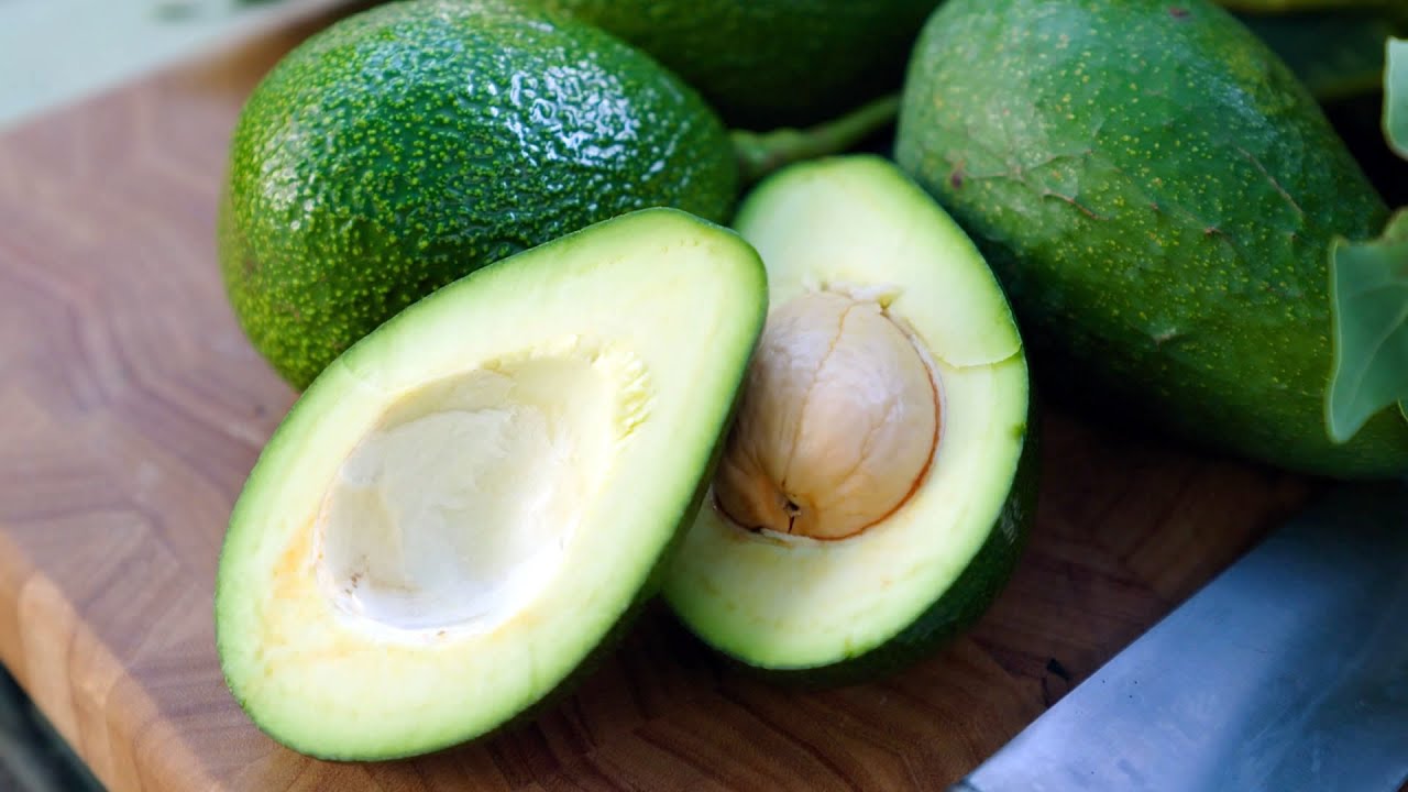 The Garden Gurus - Giant Avocado Tree - YouTube