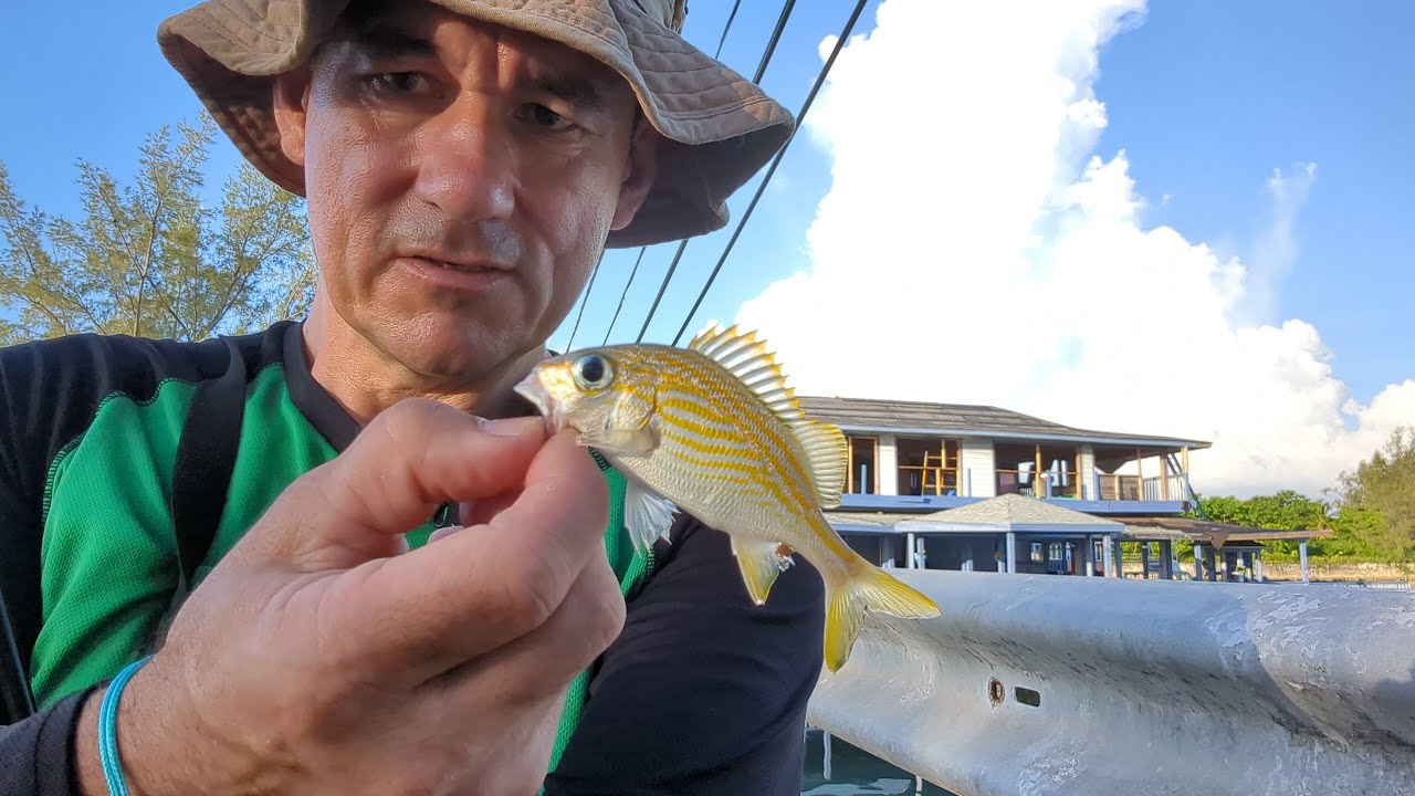 Chasing bridge monsters Nassau Bahamas - What did this to my Grunt ...