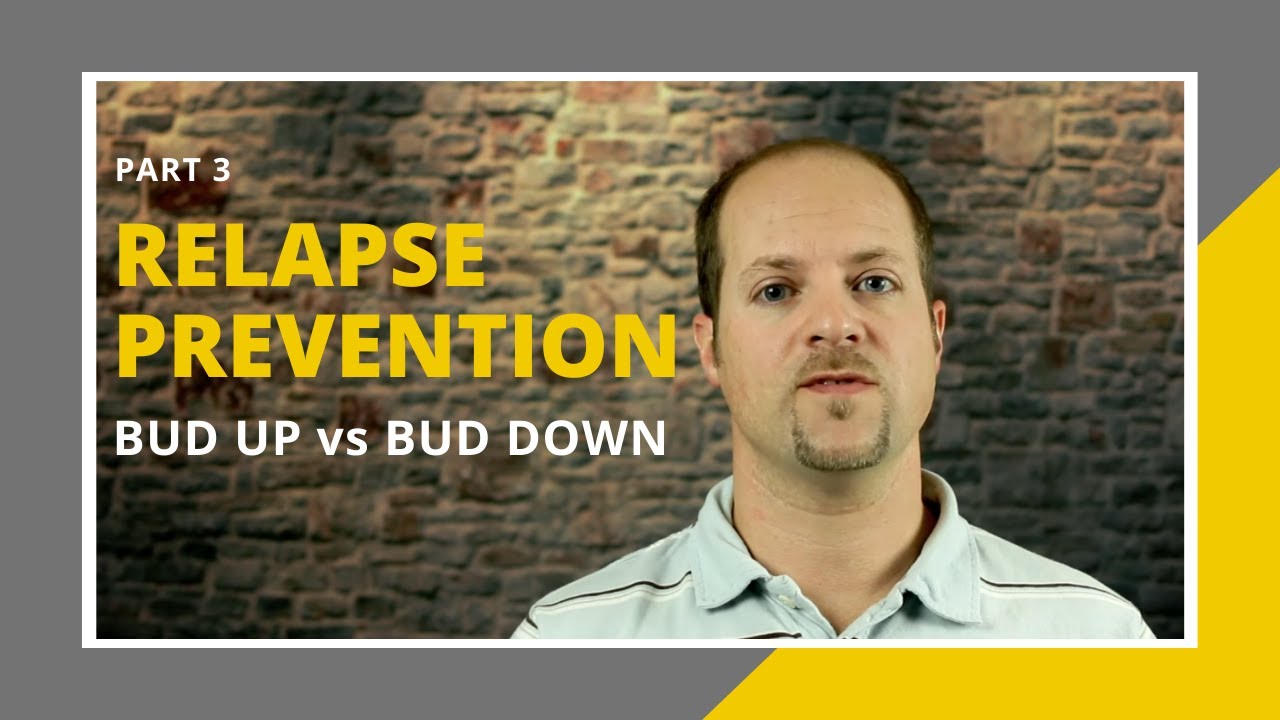 Relapse Prevention: BUD UP vs BUD DOWN Part 3 for Substance Abuse ...