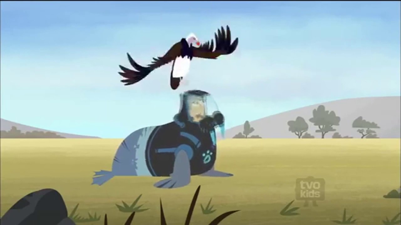 ᴴᴰ Wild Kratts Full Episodes - Creature Power Challenge - YouTube