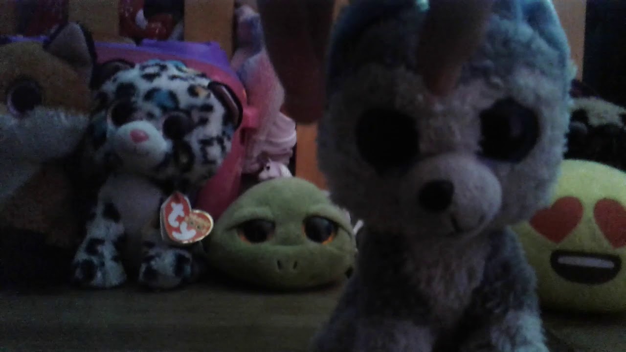 6. Things bennie boos hate about being a beenie boo - YouTube