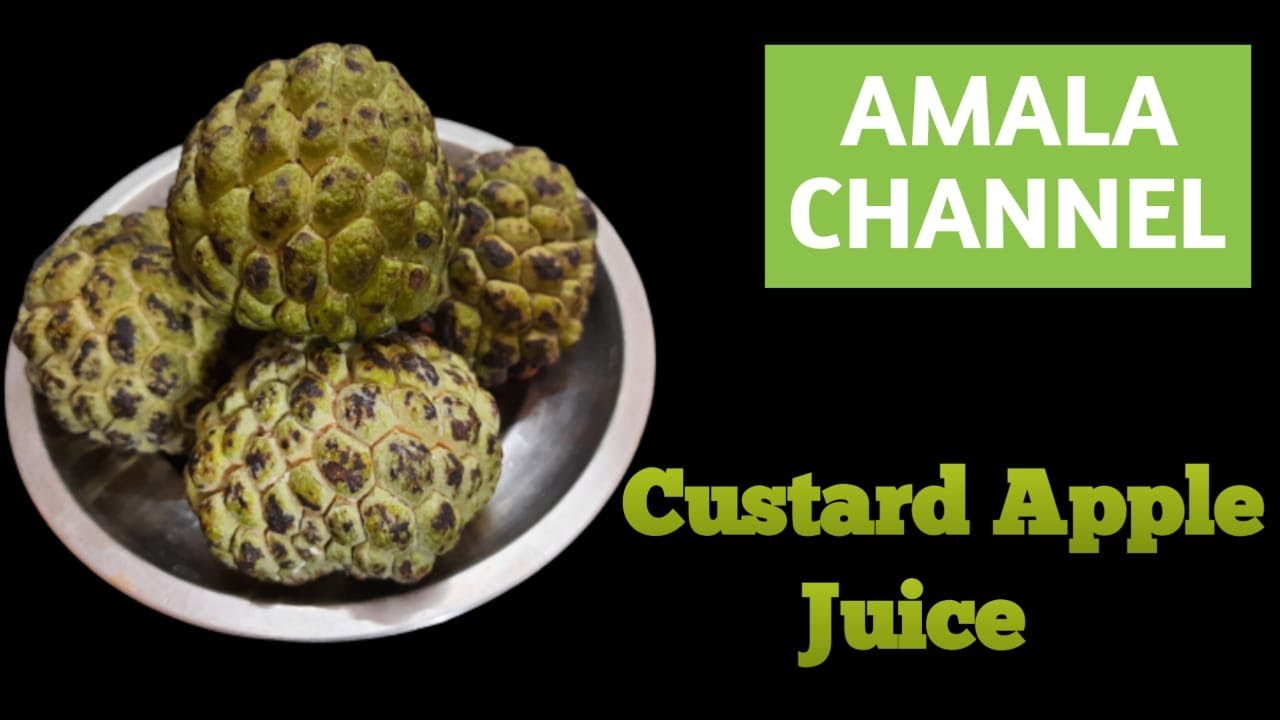 Custard Apple Juice Recipe/Custard Apple Milkshake/Seetha Pazham Juice ...