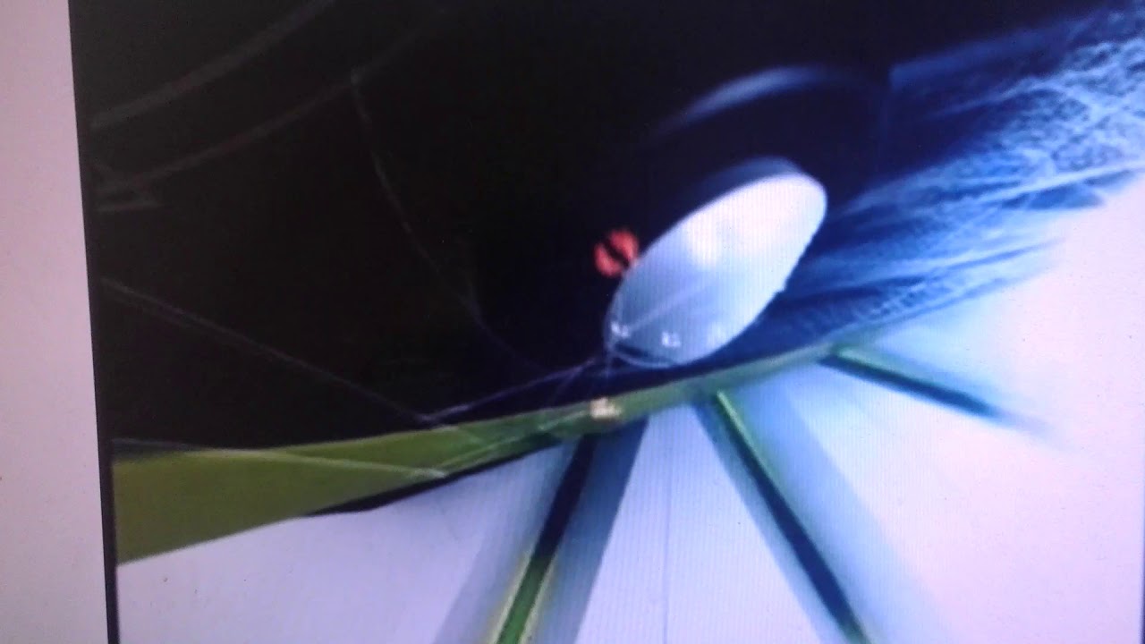 Alienware Computer Television Commercial 2003 - YouTube