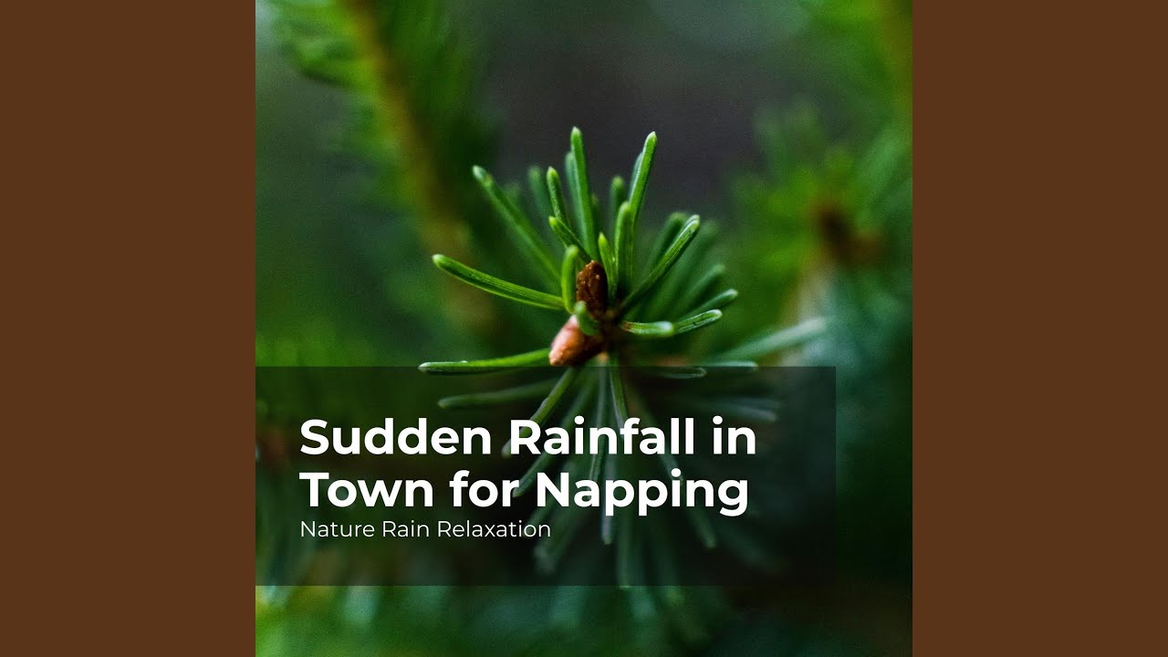 Introspective Nature - YouTube