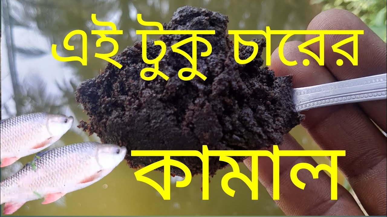 #মাছের চার কিভাবে বানায় #macher char #fish #fishing #liton #🎣 - YouTube