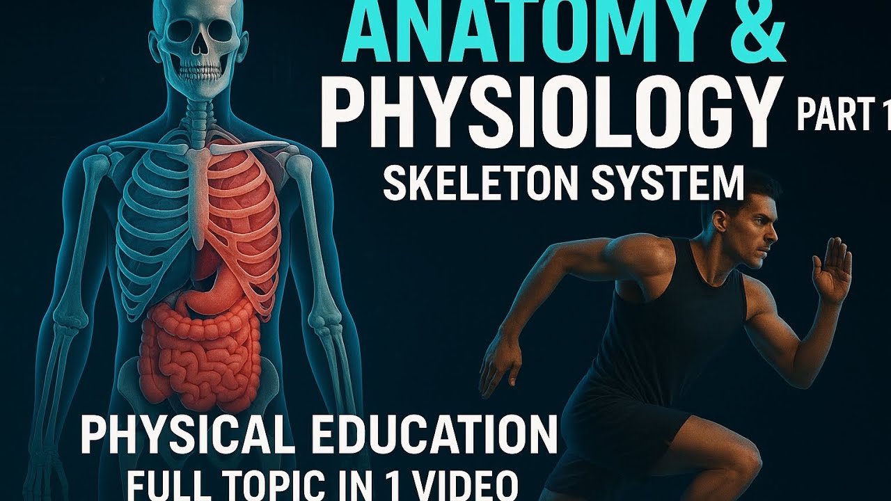 Human anatomy and physiology for physical education part 1 skeleton ...