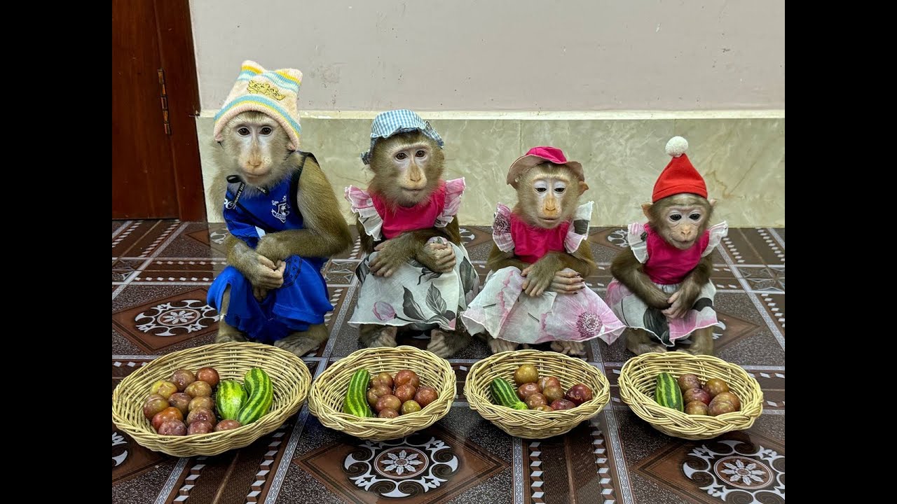 4 Siblings Sit Very WELL-DISCIPLINED Waiting Mom To Come & Feed Them ...