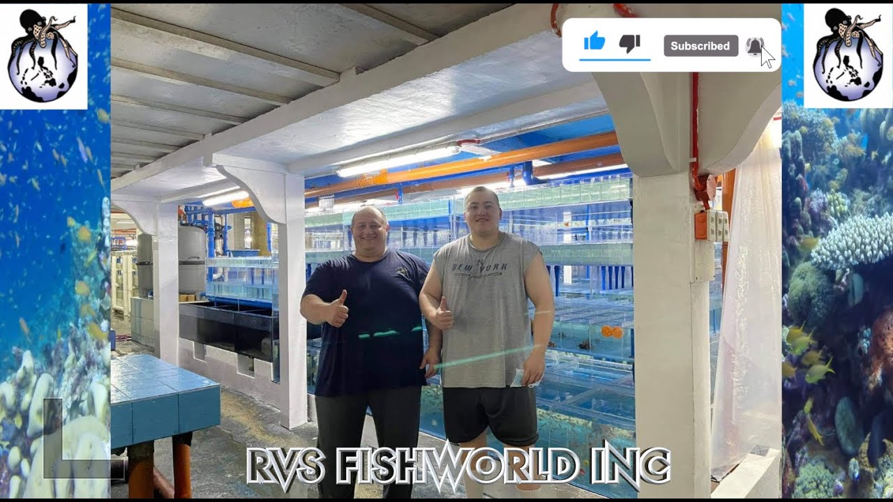 RVS FISHWORLD INC NEW AQUARIUM CUBICLES "63 UNITS OF FOUR TIER SETS" 6. ...