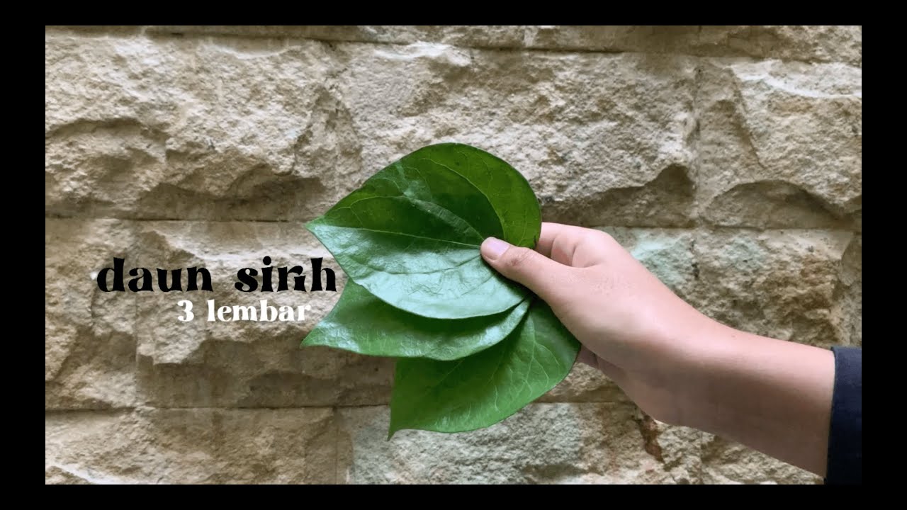 LOMBA INOTEK MAGETAN 2021 - SISIR (Sirup Sirih) - YouTube