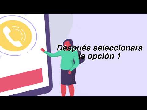 What is the difference between ICE, ISAP, and the immigration court?