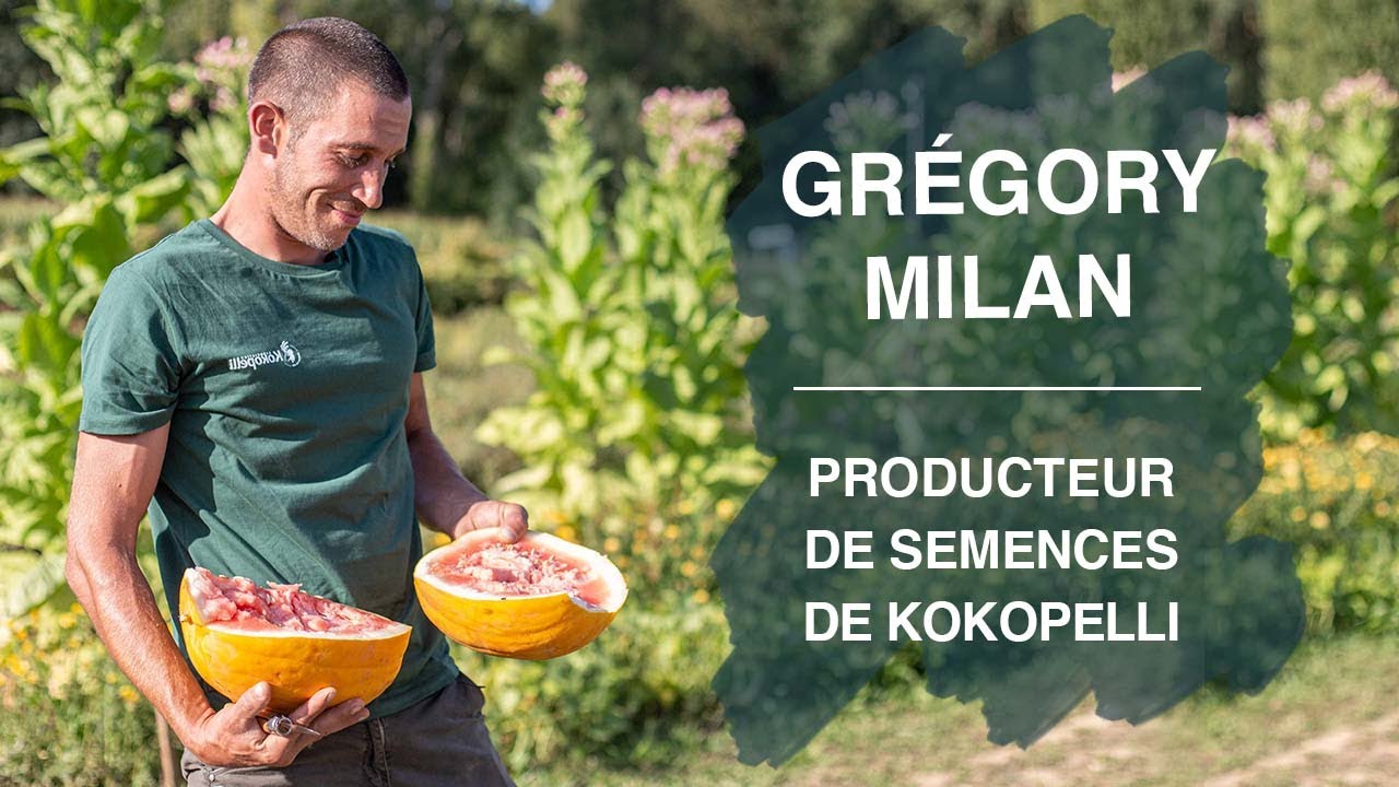 Rencontre avec Grégory Milan, producteur de semences de Kokopelli - YouTube