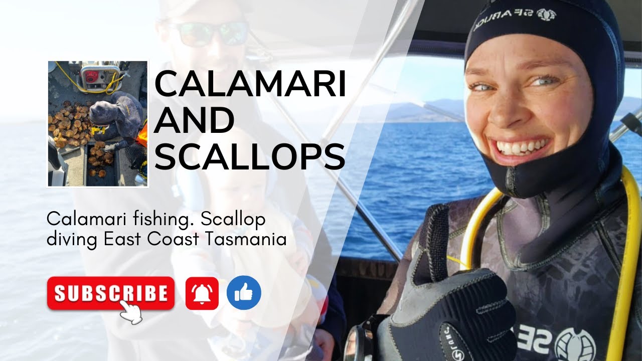 Calamari Fishing. Diving for Scallops, East Coast Tasmania - YouTube