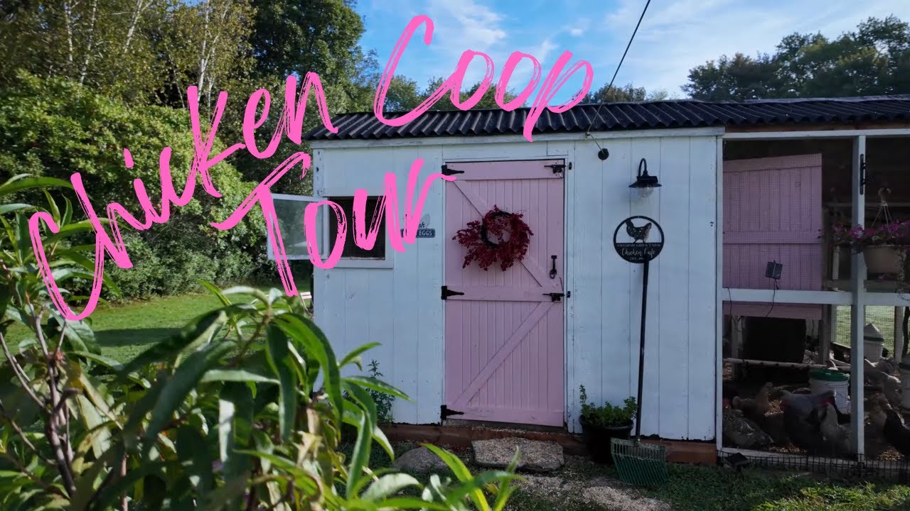 Big Coops?? - YouTube