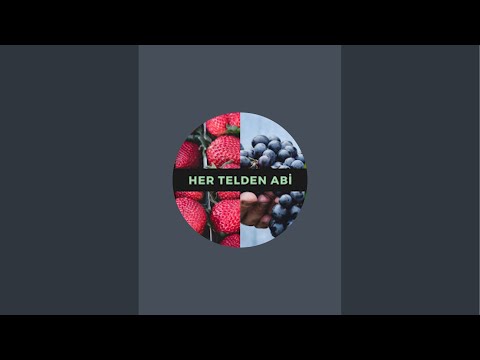 Her Telden Abi kanalı canlı yayında