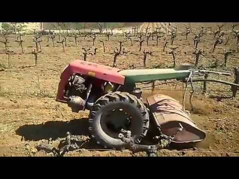 AGRIA ΕΛΛΑΣ - ΣΚΑΦΤΙΚΟ - YouTube