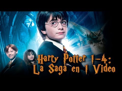 Harry Potter: La Saga en 1 Video (PARTE 1)