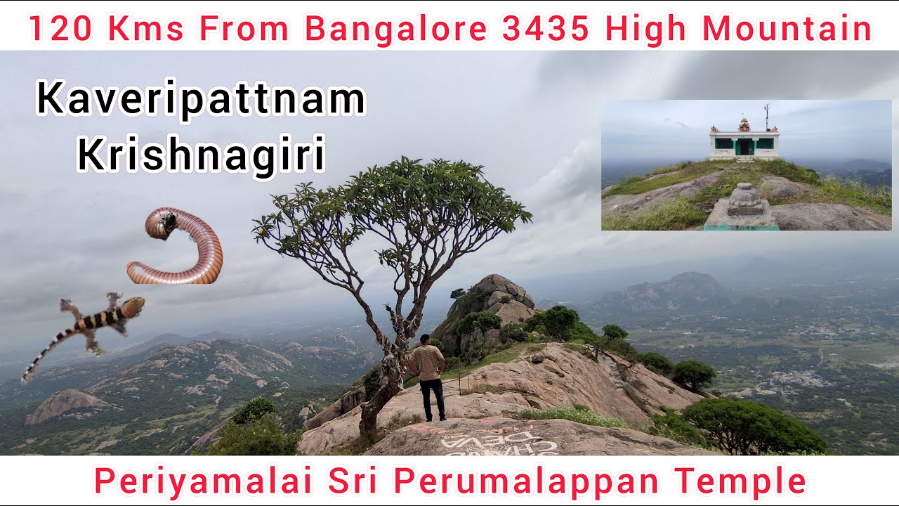 Periyamalai Sri Perumalappan Temple at #kaveripattinam #milipede # ...