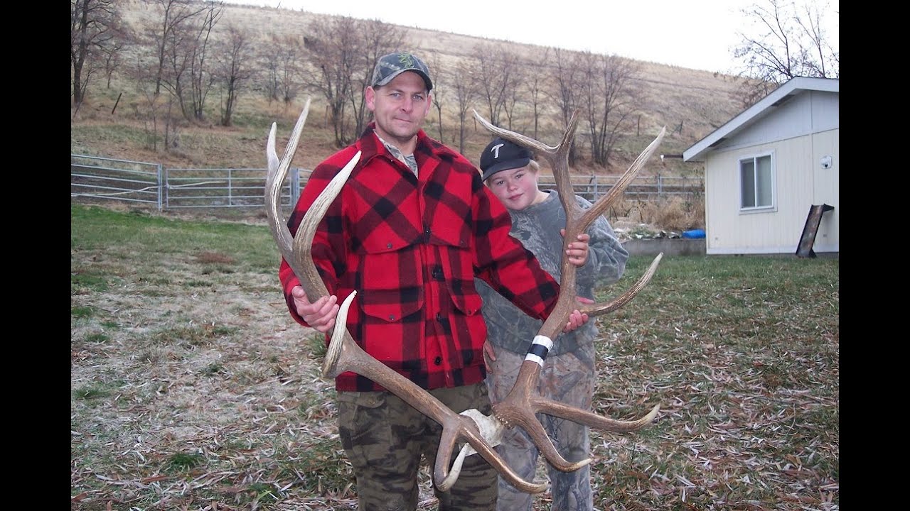 2020 ELK Big Oregon Bulls - YouTube