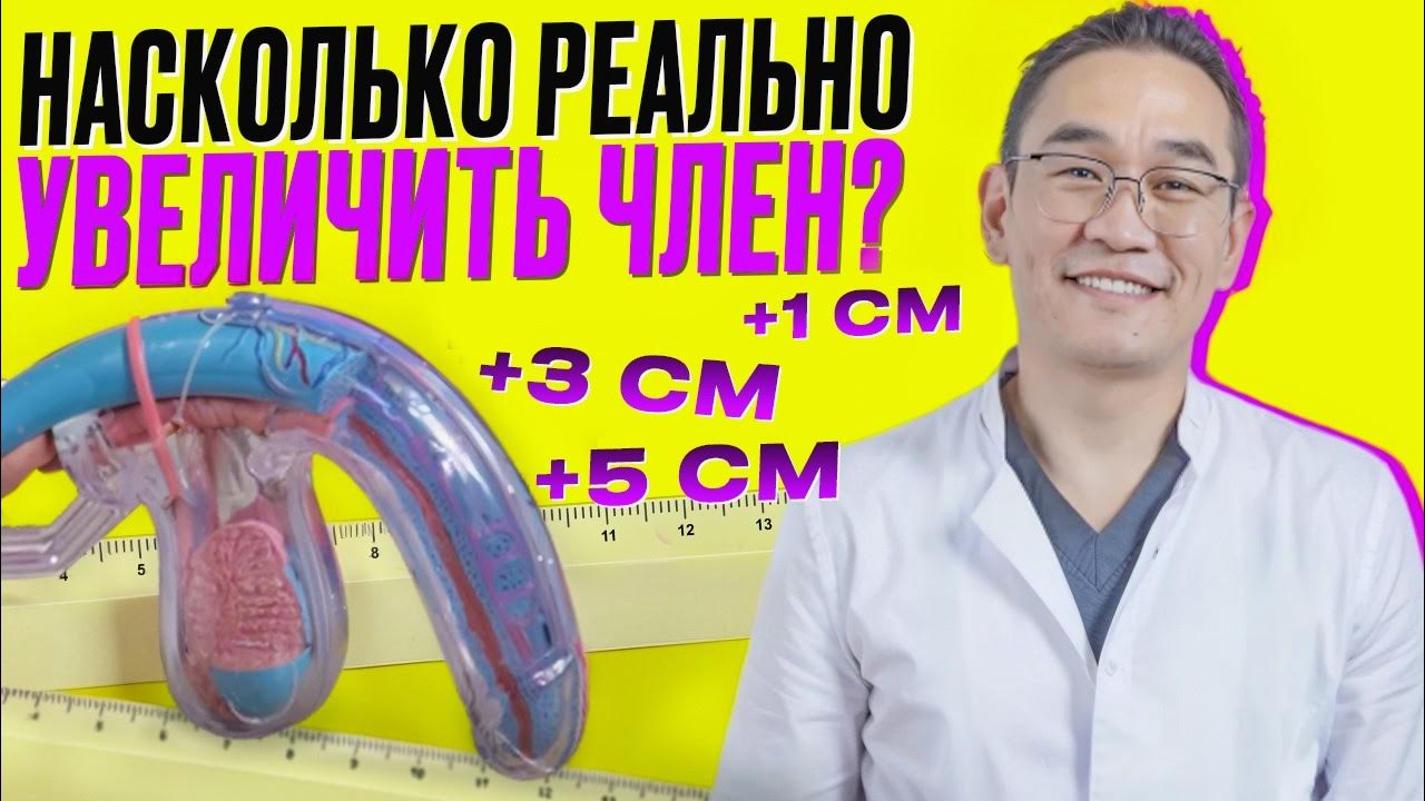 Увеличение члена: насколько можно удлинить член? - YouTube
