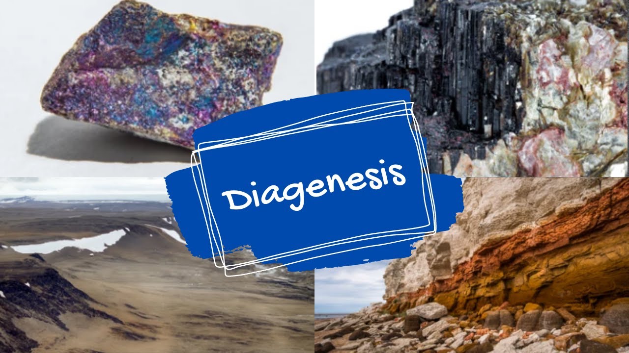 What is diagenesis? What are the diagenesis processes? How does ...