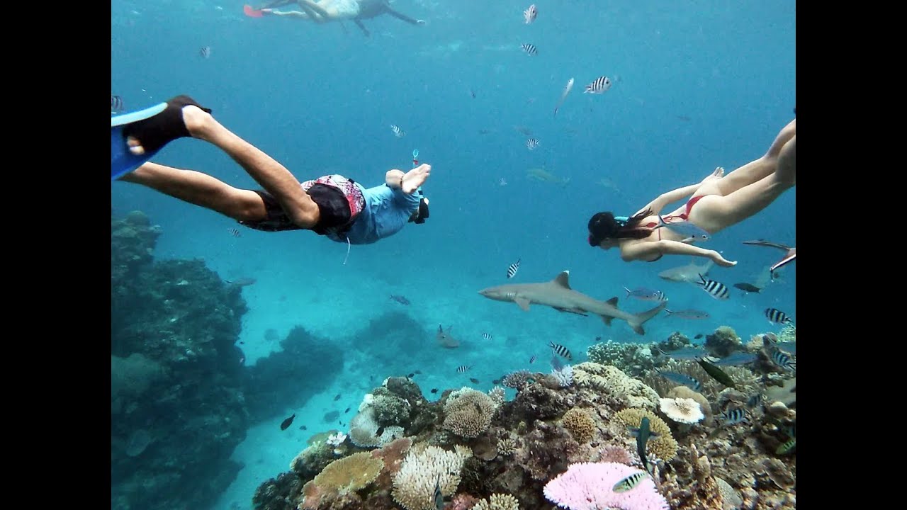 Love Deep Blue.Fiji - YouTube