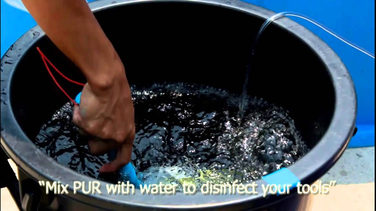 Sanocare PUR - Hatchery application - YouTube