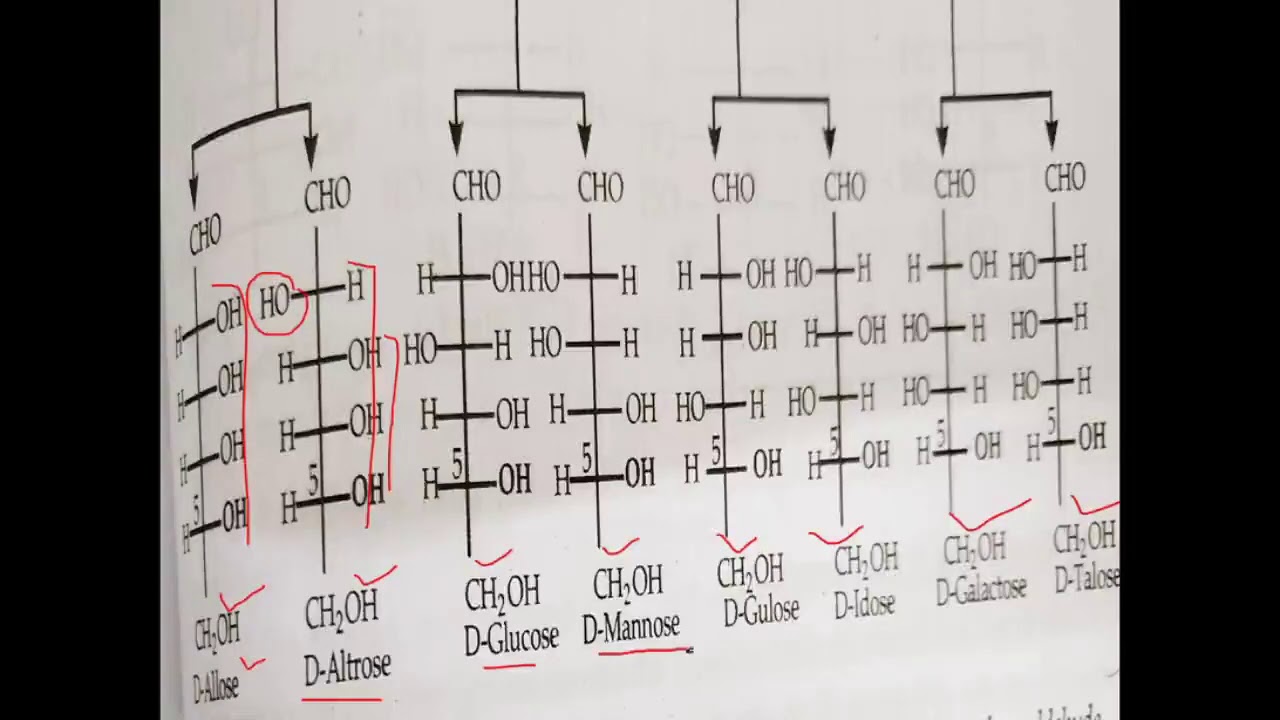 Carbohydrates: Configuration of Monosaccharide's & Mutarotation - YouTube