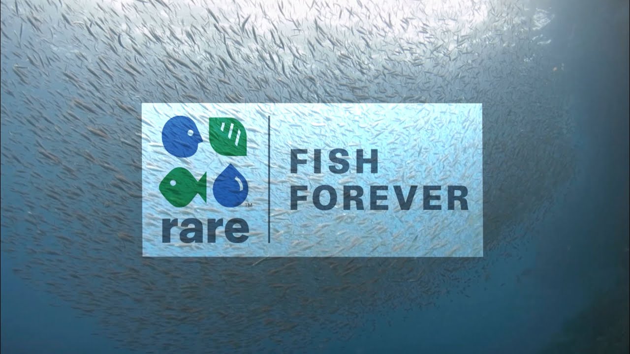 Fish Forever Essentials - YouTube