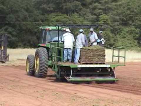Sod to Sprigs SprigMaster II 7' Sprigger - YouTube