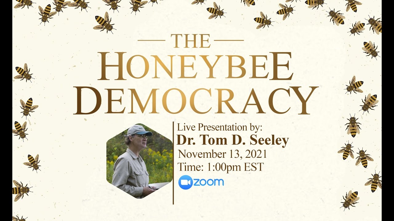 The Honeybee Democracy with Dr. Tom Seeley - YouTube