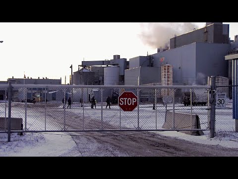VIDEO: Union calls on province to support Terrace Bay mill workers ...