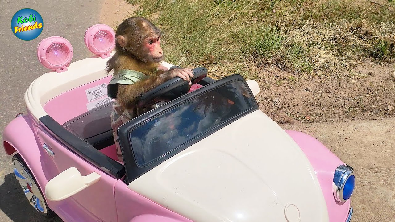 Kobi Automatic drives car to the grocery store... - YouTube