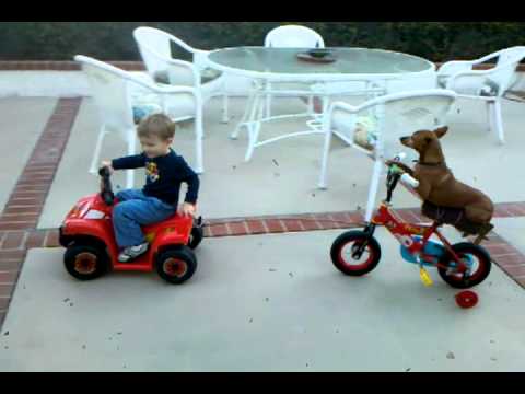Kobe rides a bike. - YouTube