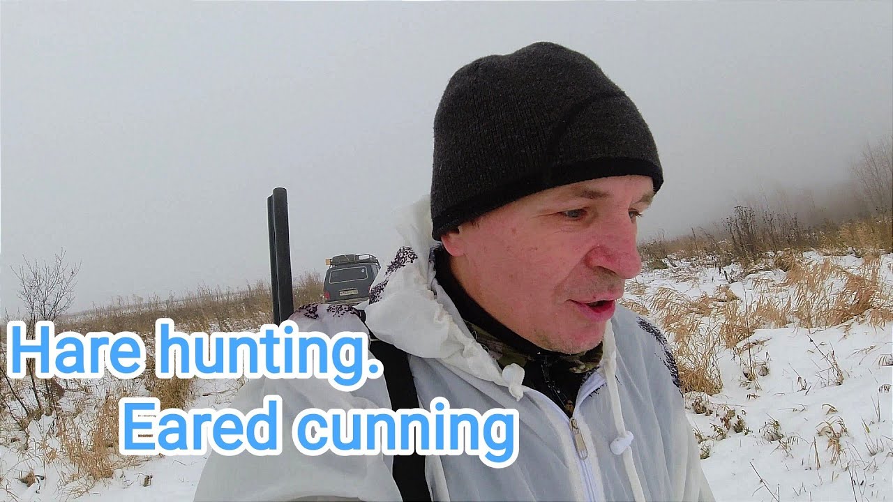 Hare hunting. Eared cunning. Охота на зайца. - YouTube