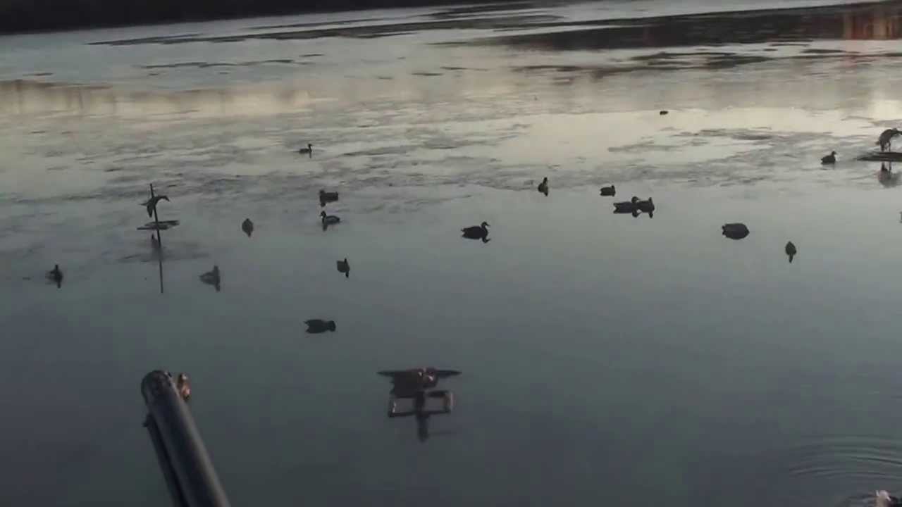 Feather Floater for MOJO Motorized Duck Decoys Real Tree Camo Float ...