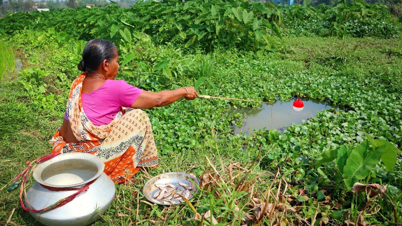 Incredible fishing video 🐟 || By a excellent old grandma fish hunt in ...