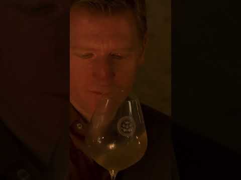 Champagne Frerejean Frères | Cellar diner experience in Champagne | Studio VingTrois