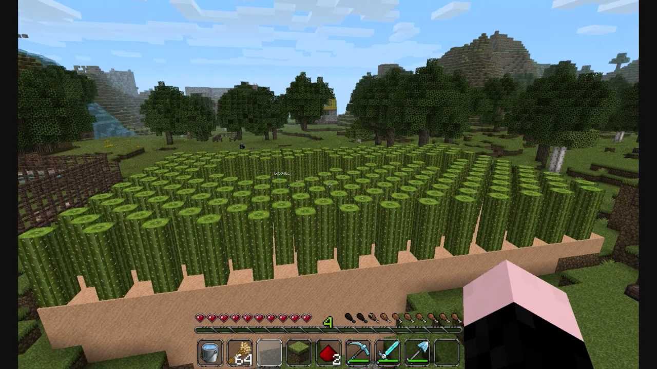 Minecraft - Billy Bob's Cactus AND Animal farm - YouTube