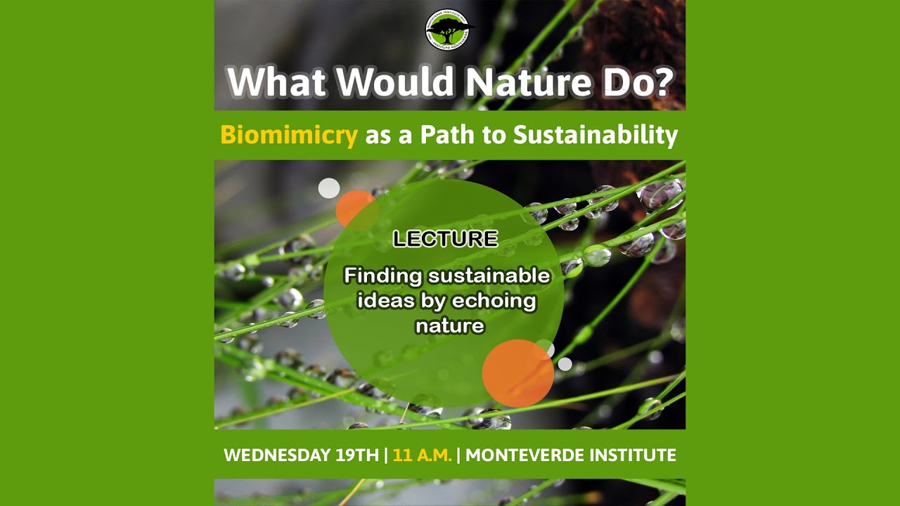 Biomimicry and Sustainability: talk + workshops - YouTube