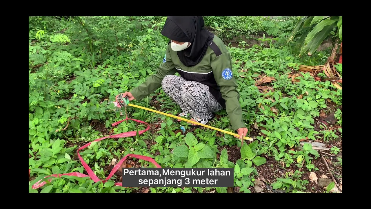 Analisis Vegetasi- Metode Line Intercept (Transek) - YouTube