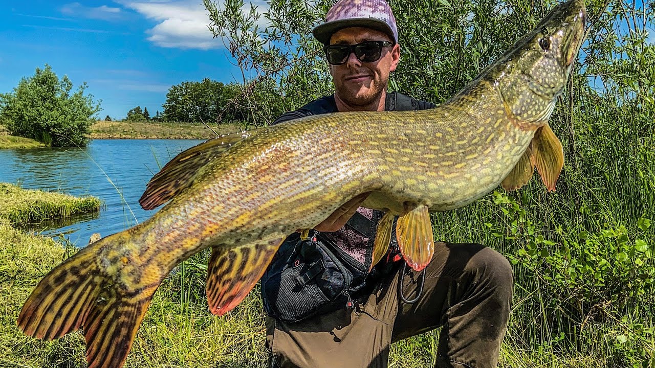 The late spring BEAST - Giant Pike - YouTube