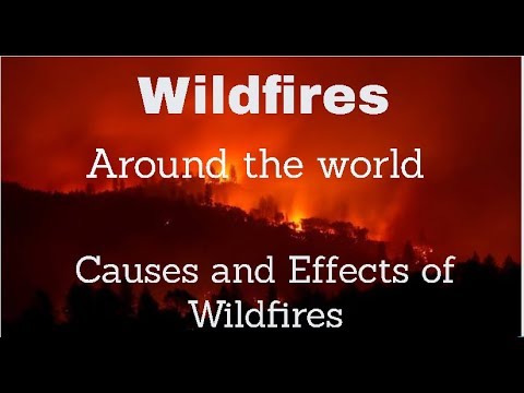 What is Wildfires | Forest Fires Impact on Environment | Science of ...