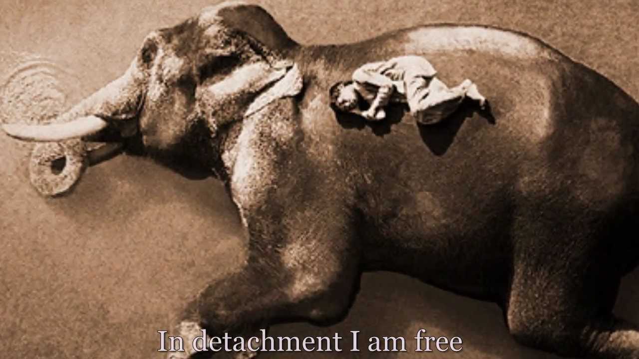 The Warrior's Prayer ~ Stuart Wilde - YouTube