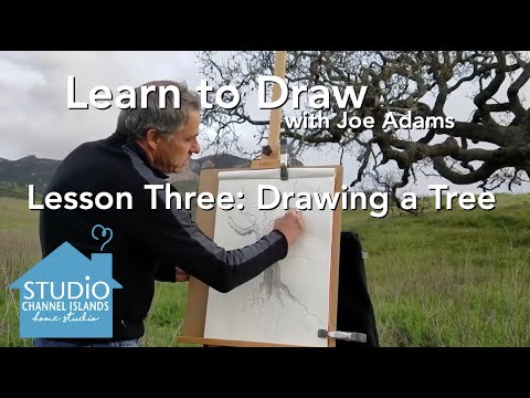 SCIART Home Studio | Learn to Draw Lesson 3: Drawing a Tree with Joe ...