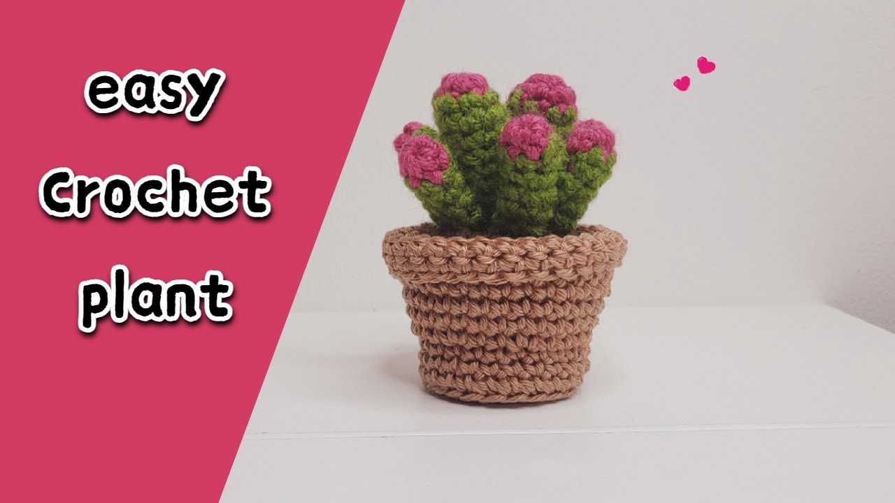 Crochet cute plant Succulent🌵QUICK & EASY for beginners - YouTube