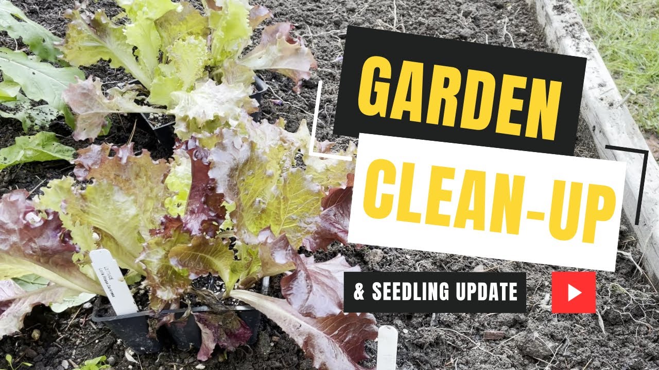 Satisfying Fall Garden Clean Up - YouTube