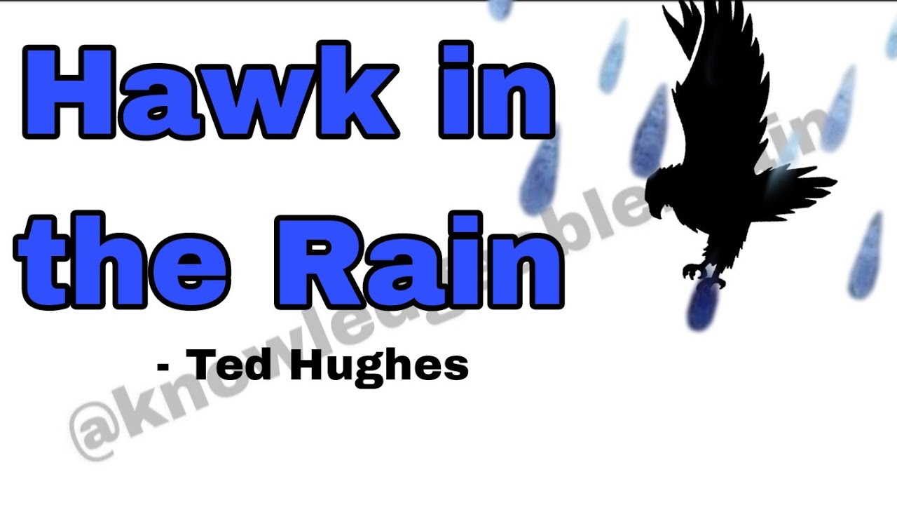 Hawk in the Rain by Ted Hugh // poem analysis - YouTube